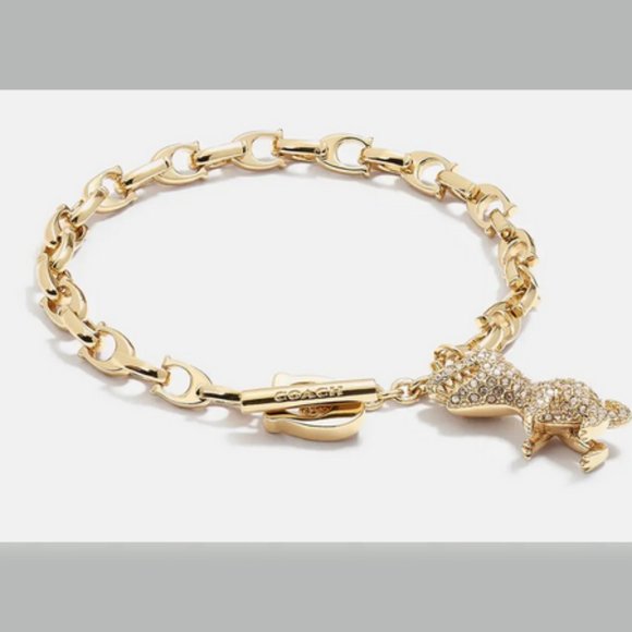 Coach | Jewelry | Coach C Chain Pave Rexy Bracelet | Poshmark